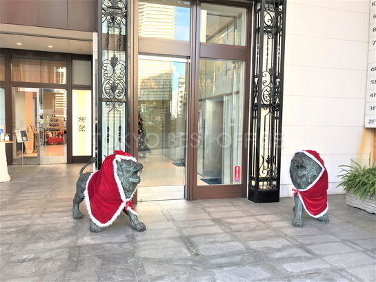 GINZA MISS PARIS | 賃貸オフィス・貸事務所- 東京ベストオフィス TOKYO BEST OFFICE